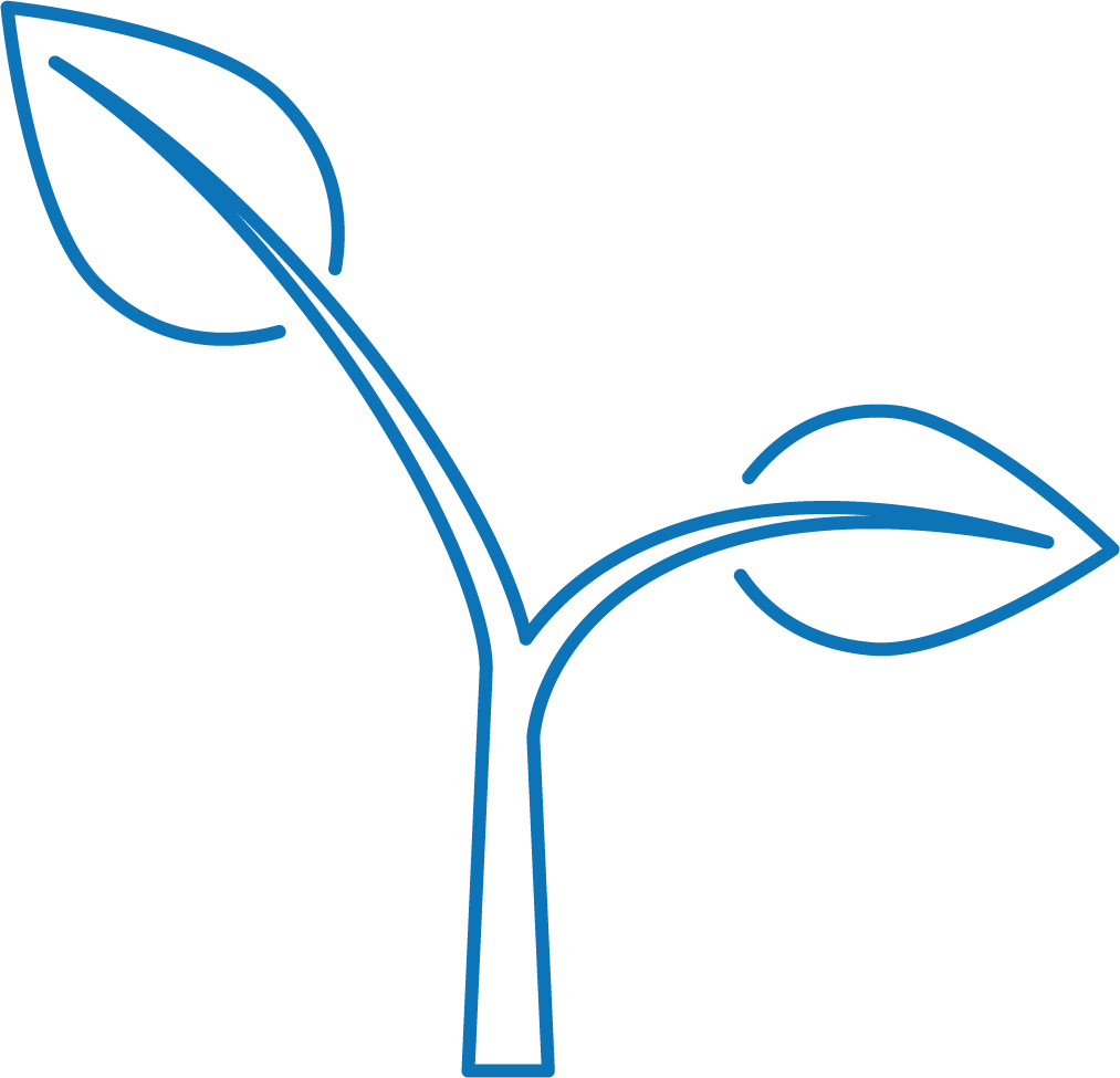 MSH MACFARMER - MAC3