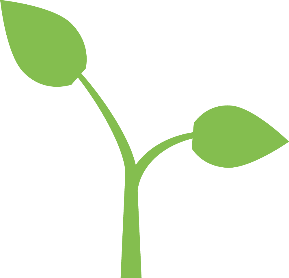 MSH MACFARMER - MAC3